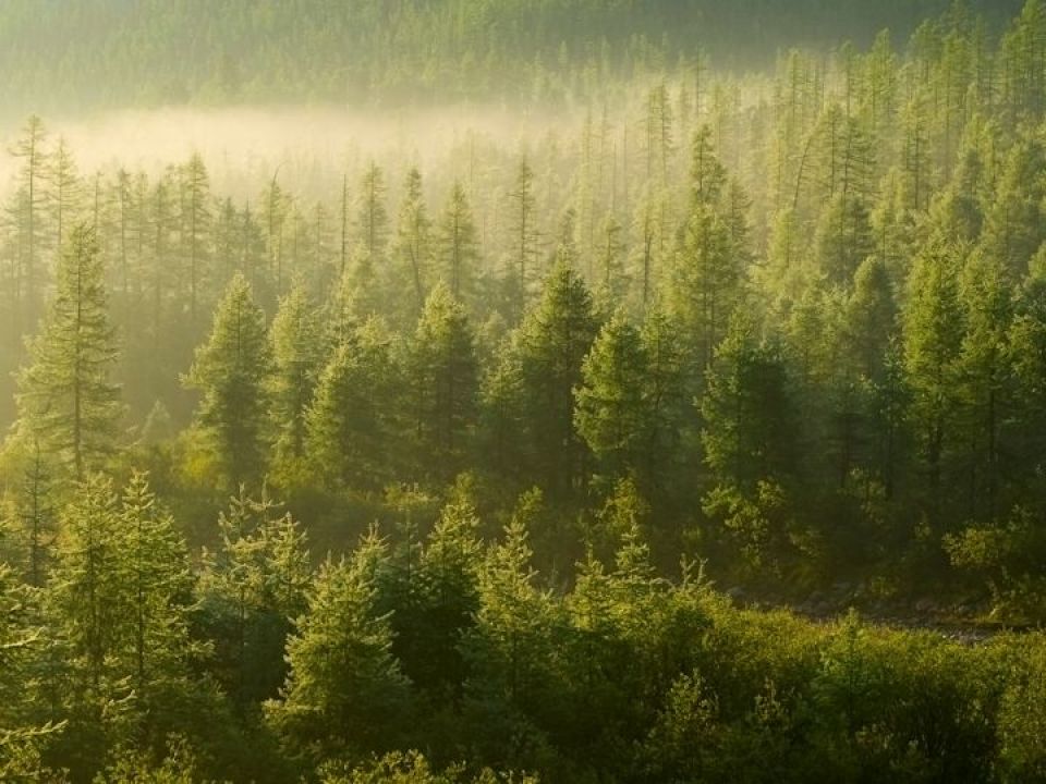Clyde Blog - The Myth that Paper is bad for the environment