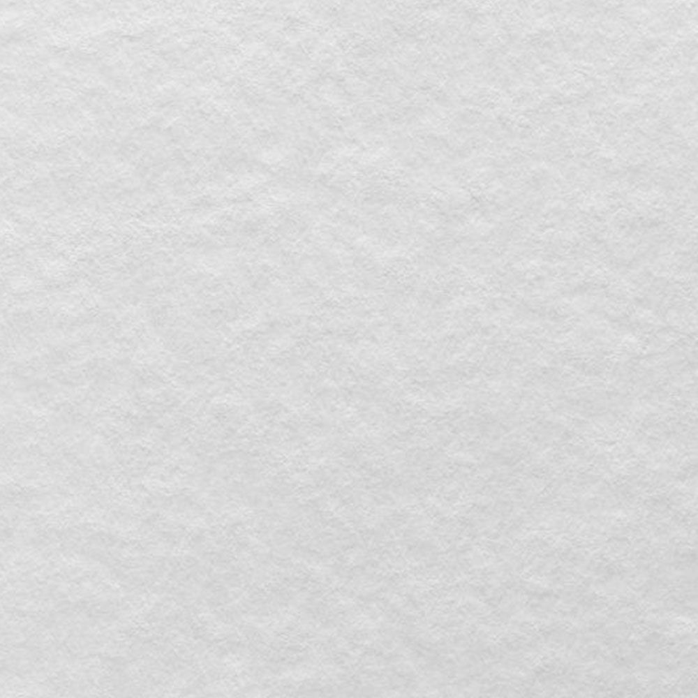 Cannes Parchment Certificate Paper Bright White A4 176gsm | Clyde Paper